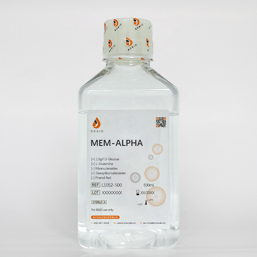 α-MEM培养基（含谷氨酰胺，含核苷，无酚红）